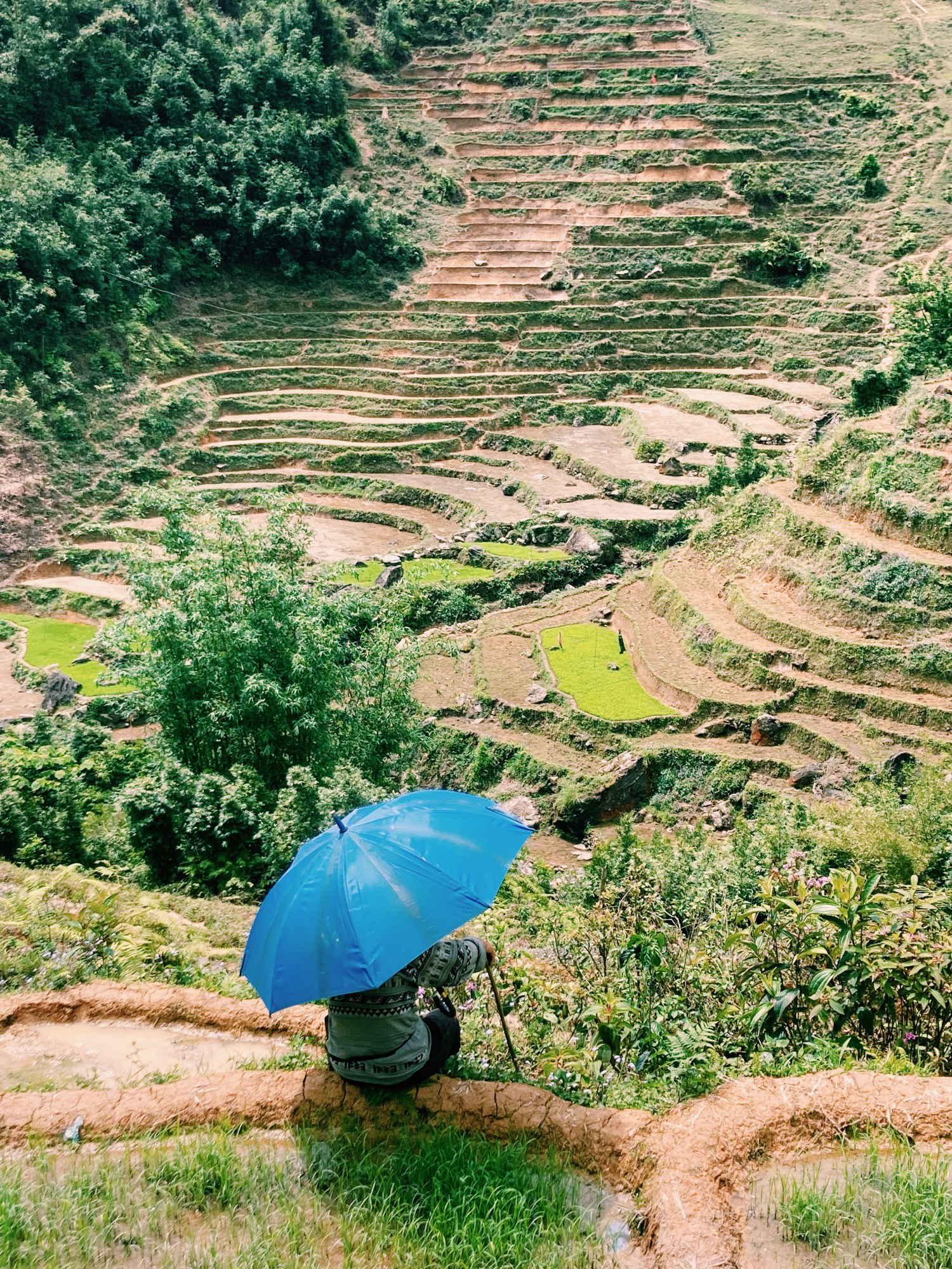 Escapade à Sapa – Les Voyages de Camille